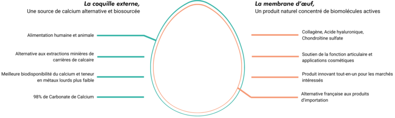 Gamme Nutraceutique - Circul'egg