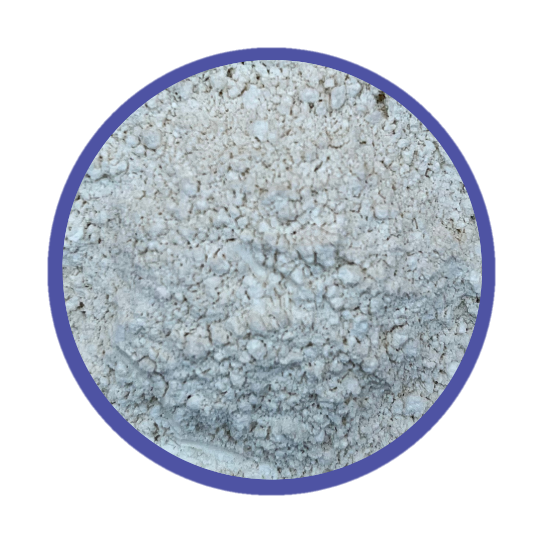 Accueil - Valorisation de coproduits industriels - Circul'egg